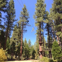 Tahoe Tree Top Adventures - 7 tips from 251 visitors