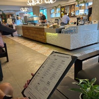 Himalayan Java - Tredevi Marg