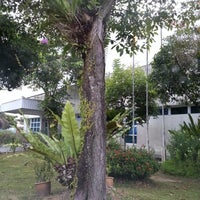 YCH Distripark Sdn Bhd (Logistics/Melewar) - 10 tips