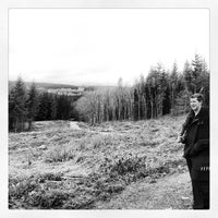 Beechenhurst Lodge - 3 tips