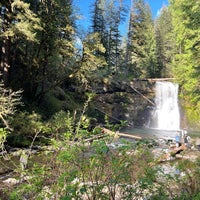 Silver Falls - Hiking Trail in Clackamas