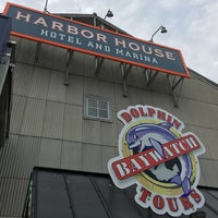 Baywatch Dolphin Tours - Galveston Harbor - 10 tips from 359 visitors