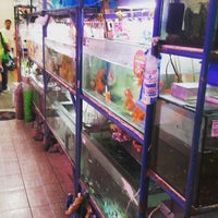 Cartimar Pet Center - Pasay City District 1 - 83 tips from 3967 visitors