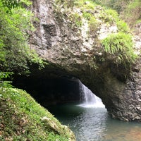 Natural Bridge - Springbrook National Park