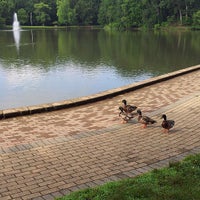 Allen Pond Park - 17 tips from 1082 visitors