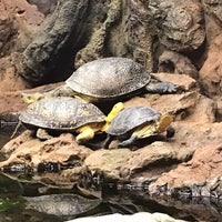 Isle a la Cache Museum/Preserve - History Museum in Romeoville