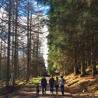 Kirkhill Forest - Dyce - 57 visitors