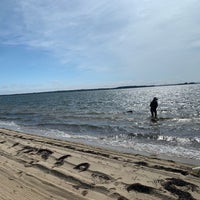 Cape Poge Wildlife Refuge - Nature Preserve in Edgartown