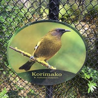 Pukaha Mount Bruce Wildlife Centre - Masterton, Wairarapa