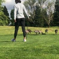 Wildhawk Golf Club - Sacramento, CA