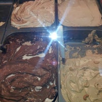 Java Cat - Madison, WI