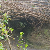 Derreen Gardens - Lauragh