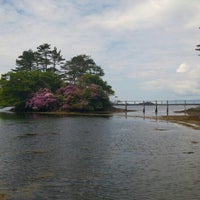 Derreen Gardens - Lauragh