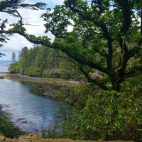 Derreen Gardens - Lauragh
