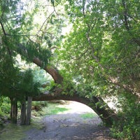 Derreen Gardens - Lauragh