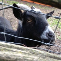 Far Enough Farm - Toronto Island Park