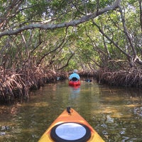 Mangrove Tunnels Kayak Tour - Beach in Lido Key