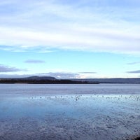 Stena Line Ferry Belfast-Stranraer - Belfast, Belfast