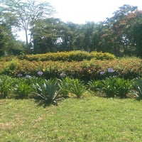 Marula Manor - Karen - Marula Lane