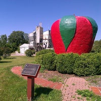 Village of Medina - 3 tips from 440 visitors