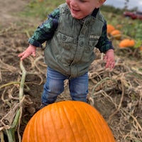 Lynds Fruit Farm - 24 tips from 1613 visitors