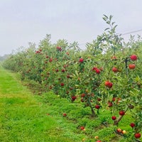 Milk Pail Farms - Watermill, NY