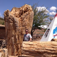 Geronimo Trading Post & Petrified Tree - Joseph City, AZ