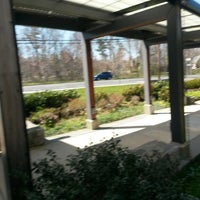 Shelter Rock Public Library - Library in Albertson