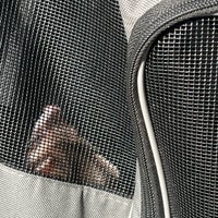 Decatur Square - 14 tips from 4440 visitors