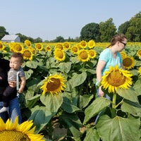 Grinter Farms - 36 visitors