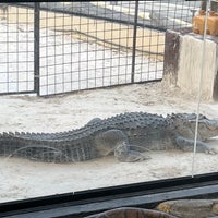 Everglades Alligator Farm - Homestead, FL