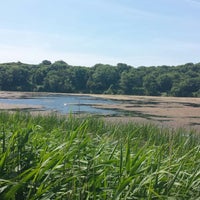 Bosherston Lily Ponds - 2 tips from 60 visitors