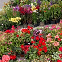 Dorking (Main) Railway Station (DKG) - Rail Station