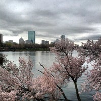 Butterfly Garden at the Museum of Science, Boston - East Cambridge - 5 tips