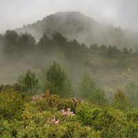 Muntanyes de Prades - Prades, Catalunya