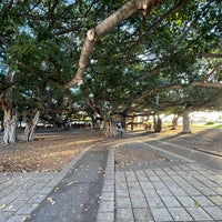 Lahaina Banyan Court Park - Park in Lahaina