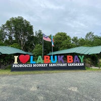 Labuk Bay Proboscis Monkey Sanctuary - 10 tips from 374 visitors