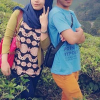 Rindu Alam - Puncak Pass - Bogor, Jawa Barat