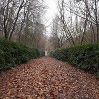 Ashcombe Maze & Lavender Gardens - Garden