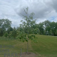 Stude Park - 15 tips