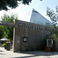 Muttart Conservatory - Cloverdale - Edmonton, AB