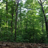 Big Trees Forest Preserve - Sandy Springs, GA