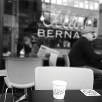 Yellow Bernard - Coffee Shop