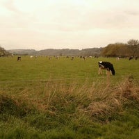 Lee Fields - 3 tips from 89 visitors