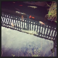 Podington Garden Centre - Garden Center