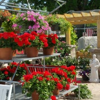 Gerlach Flowers Erie Pa | Best Flower Site