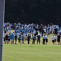 Carolina Panthers Training Camp - Field