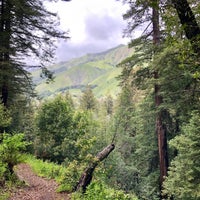 Pine Ridge Trail - Big Sur, CA