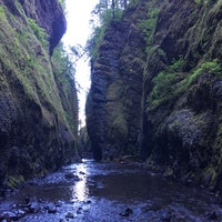 Oneonta Gorge (Now Closed) - Other Great Outdoors in Portland