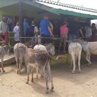 Donkey Sanctuary Aruba - Farm